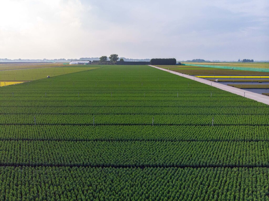 Over ons | Edens Plants & Creations